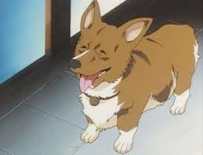 Lista de los 15 mejores perros de anime de las mejores series o ...
