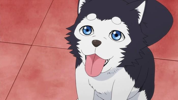 Top 15 Liste der besten Anime Hunde der besten Anime Serien oder Filme