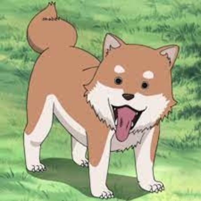 Top 15 Liste der besten Anime Hunde der besten Anime Serien oder Filme