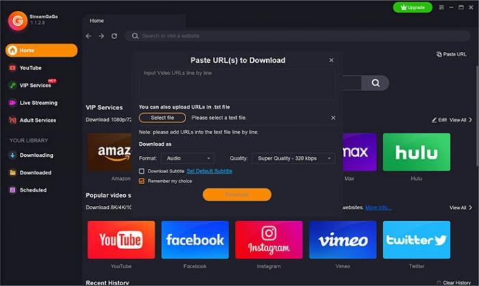 [StreamGaGa Review] Features and Usages of StreamGaGa Downloader