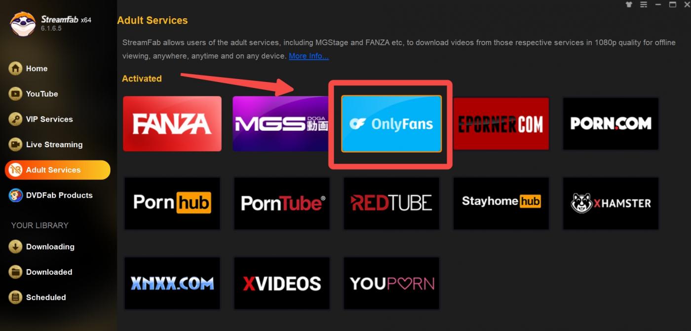 CleverGet OnlyFans Downloader Review in 2025
